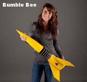 Public Missiles Bumble Bee Rocket Kit